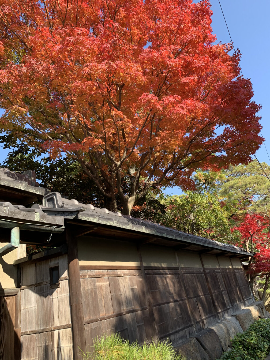 京都和風ホームページ制作 | YORISOI（京都府京都市北区）